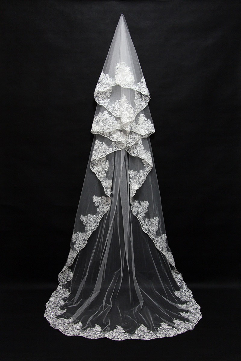 Princess Long Train Bridal Veil with Lace Trim #BV082 - GemGrace.com